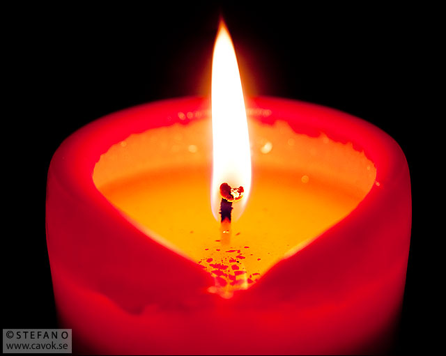 Ett ljus i mörkret | Bildbloggen